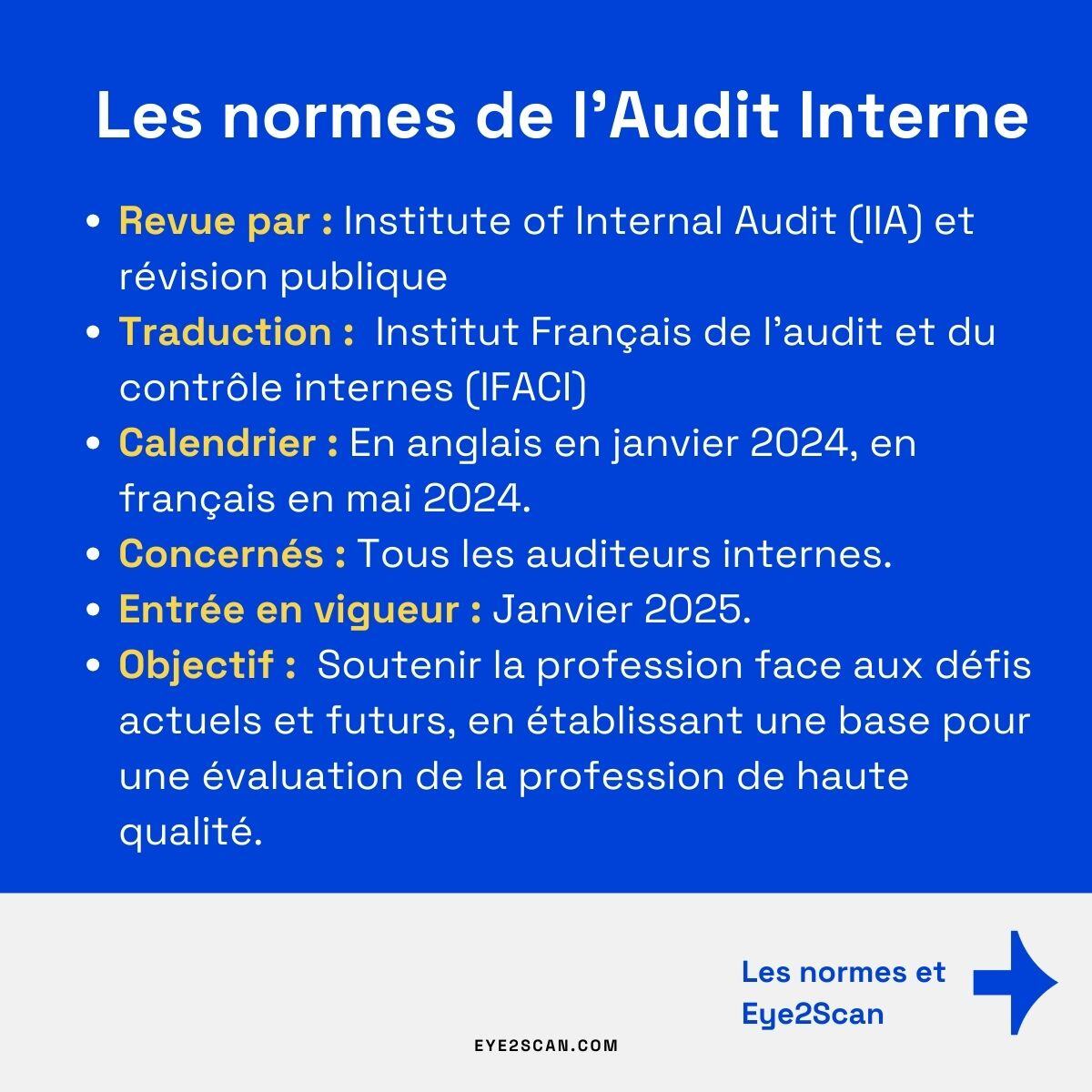 Nouvelles normes de l’Audit Interne par l’IIA : S'y conformer avec Eye2Scan